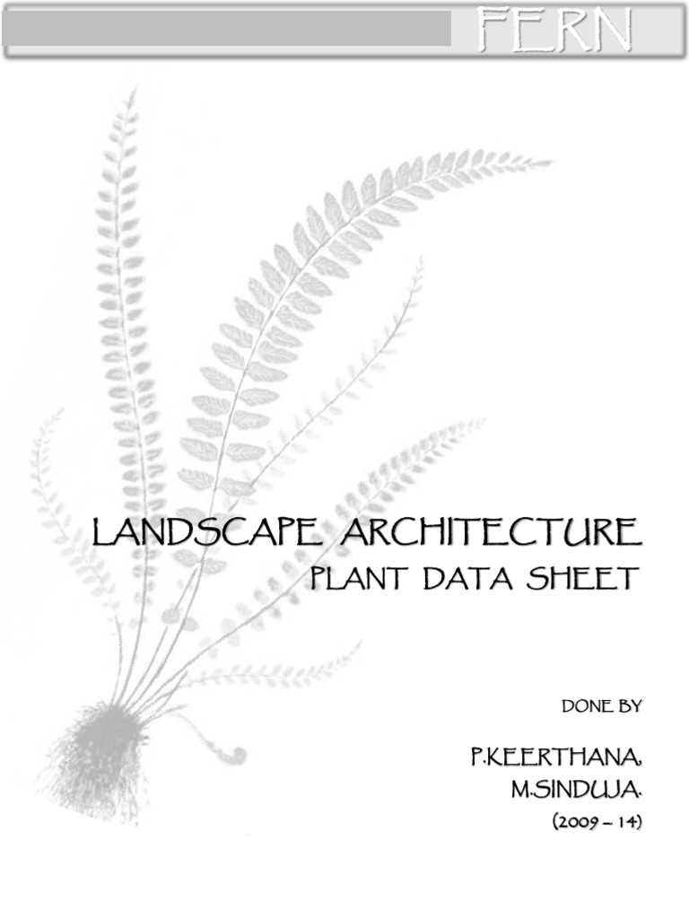 Fern Plant Data Sheet Overview | PDF | Home & Garden | Technology ...