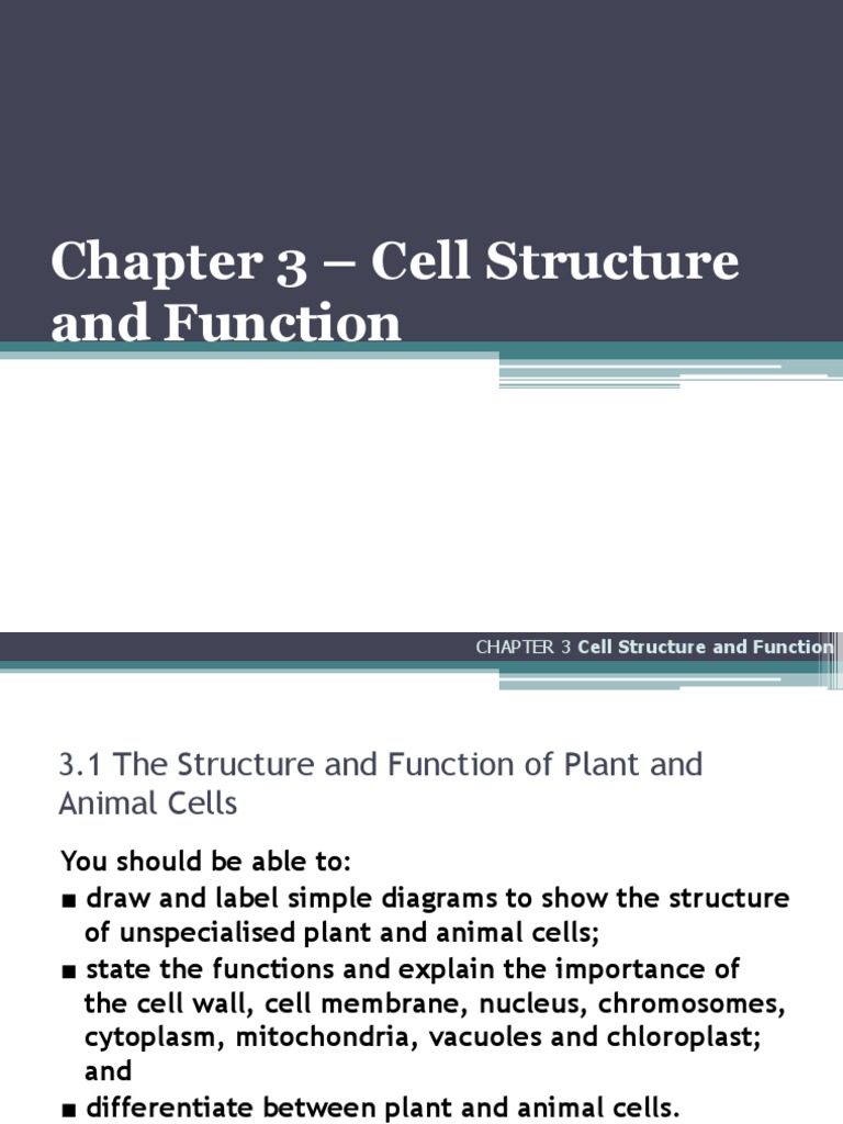 Chapter 03 - Cell Structure and Function | PDF | Vacuole | Cell (Biology)
