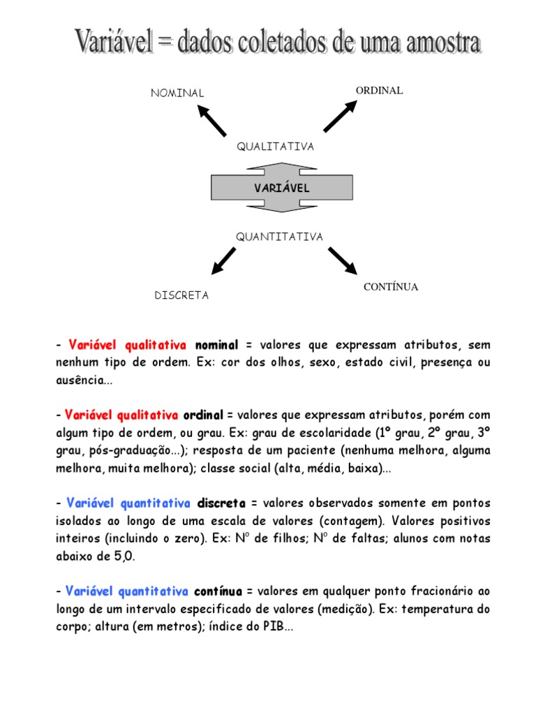 Tipos de Variáveis | PDF