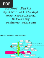 Labeled Flower Anatomy Diagram | PDF | Flowers | Plants