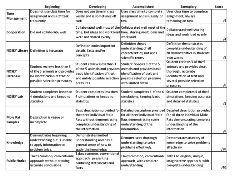 Rubric | PDF | Definition | Knowledge