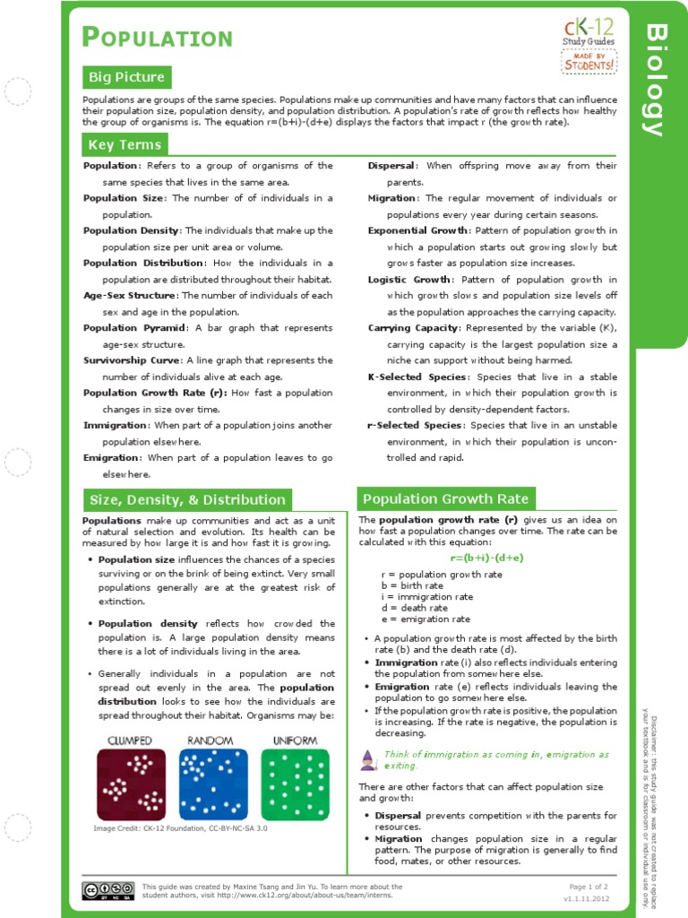 Opulation: Big Picture | Download Free PDF | Population Growth | Population