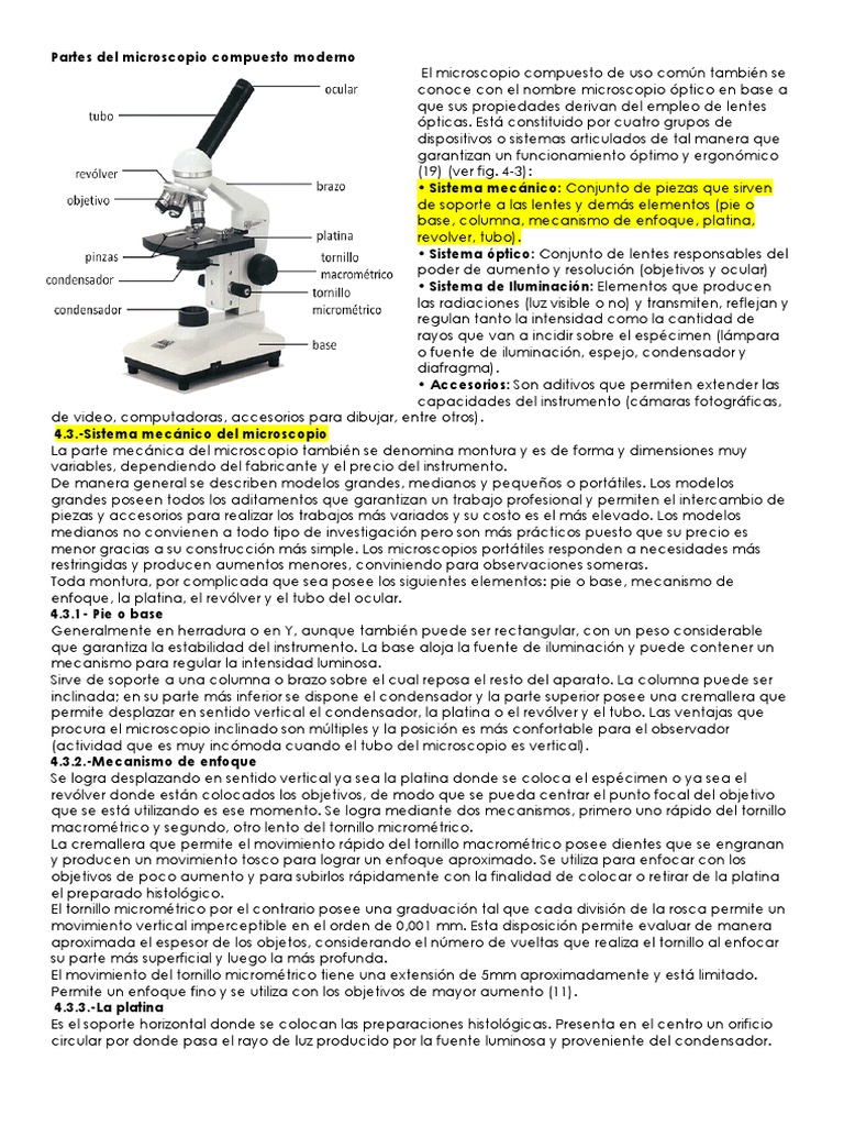 Partes Del Microscopio Compuesto Moderno | PDF | Lente de la cámara ...