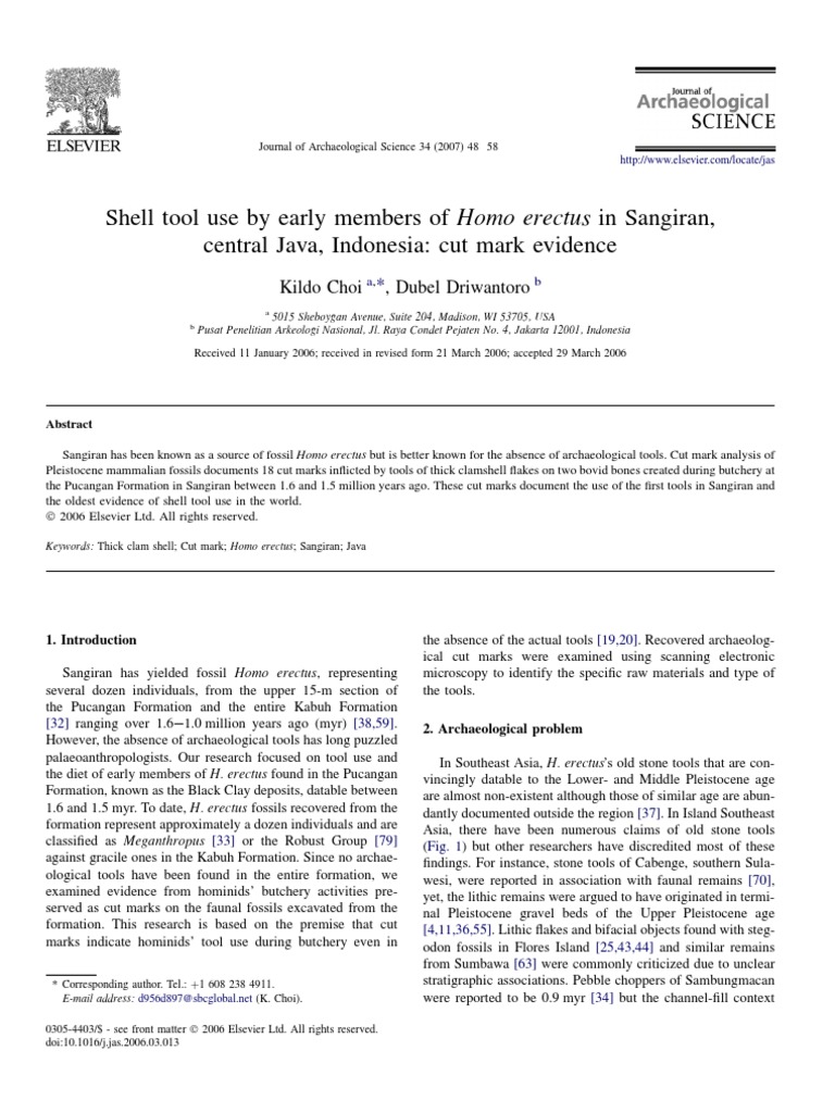 Evidence of Early Homo erectus Shell Tool Use in Sangiran, Java ...