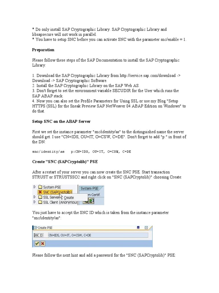 Preparation: Snc/identity/as P:CN IDS, OU IT, O CSW, C DE | PDF ...