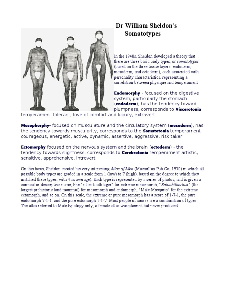Dr William Sheldon | Personality Type | Extraversion And Introversion
