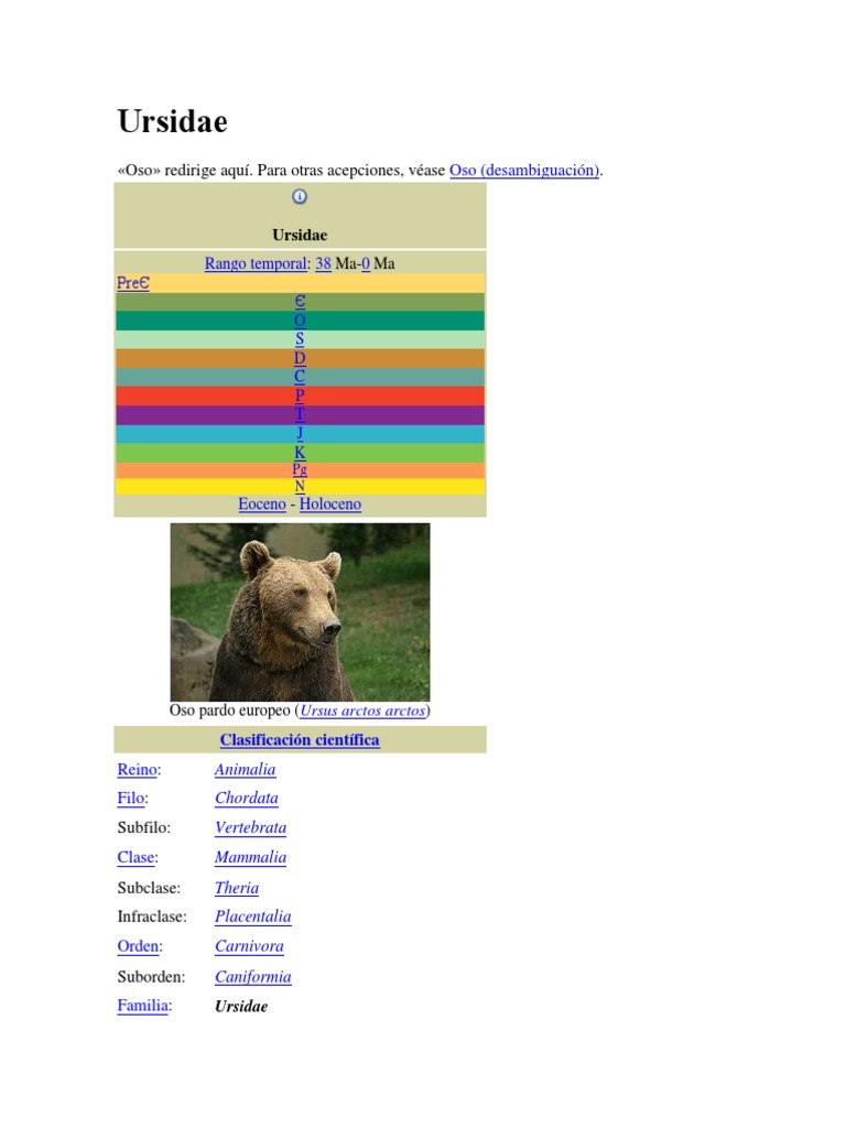 Ursidae | PDF | Osos | Animales carnívoros