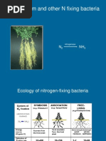 List of Nitrogen Fixing Plants | PDF | Nitrogen | Organisms