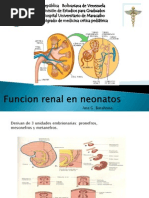 Fórmula de Schwartz TFG - Pediatría | PDF