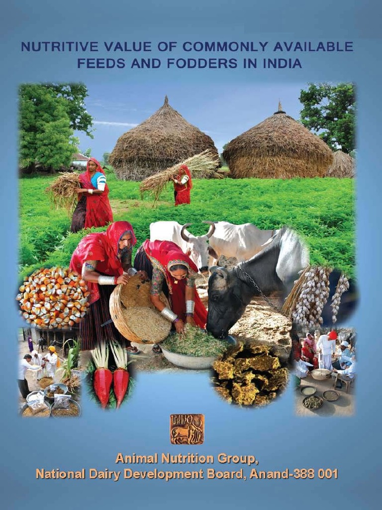 Animal Nutrition Booklet | PDF | Cereals | Oat
