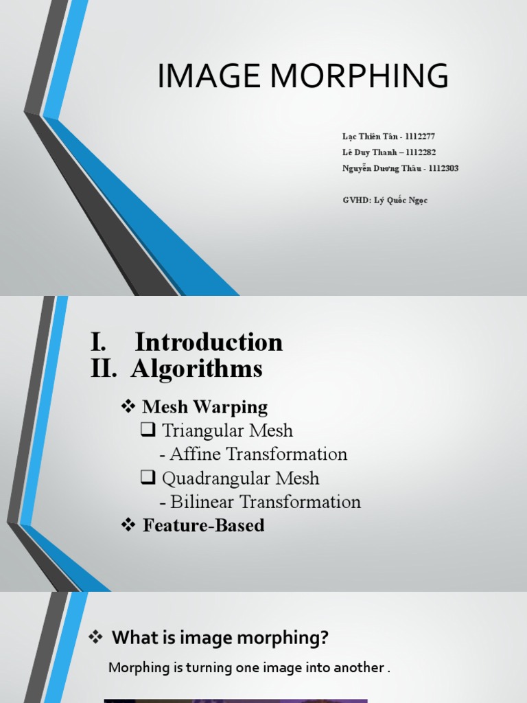 Image Morphing | PDF | Vector Space | 2 D Computer Graphics