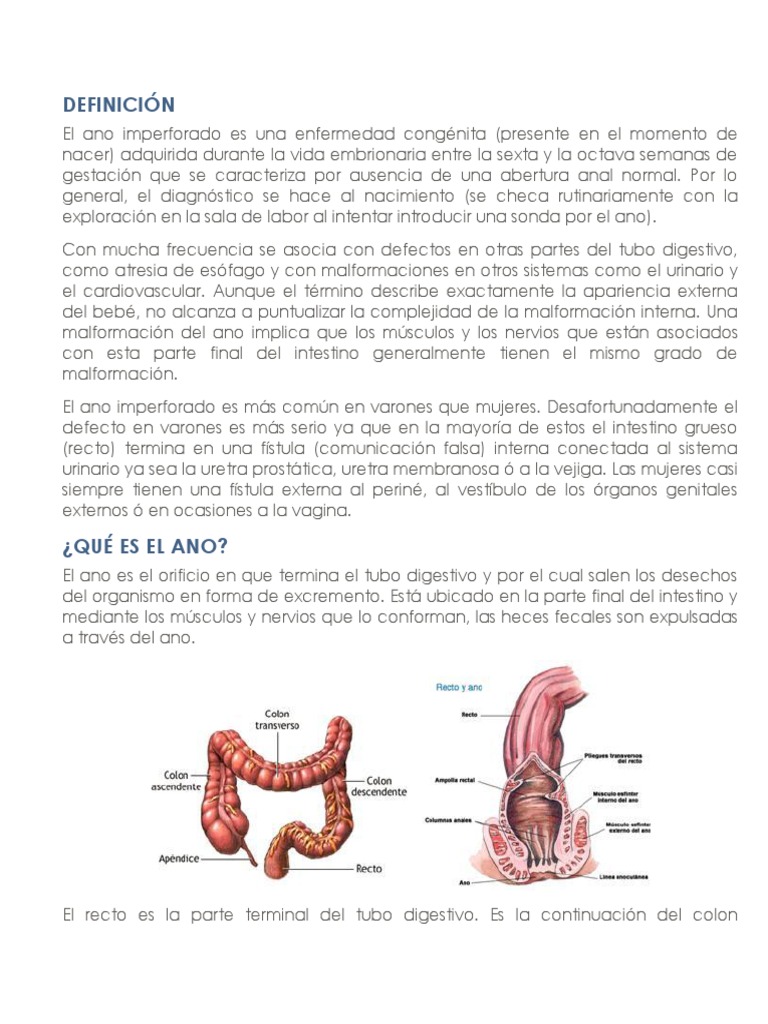 Ano Imperforado: Definición y Síntomas | PDF | Heces | Vagina