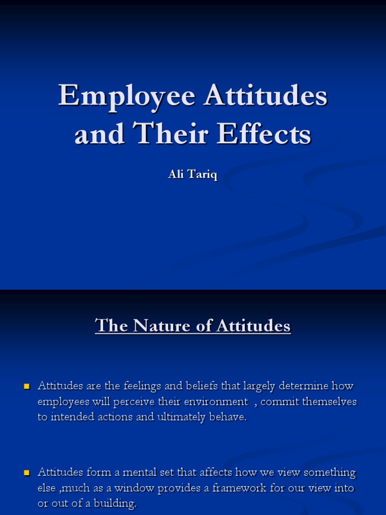Understanding Employee Attitudes | PDF | Job Satisfaction | Survey ...