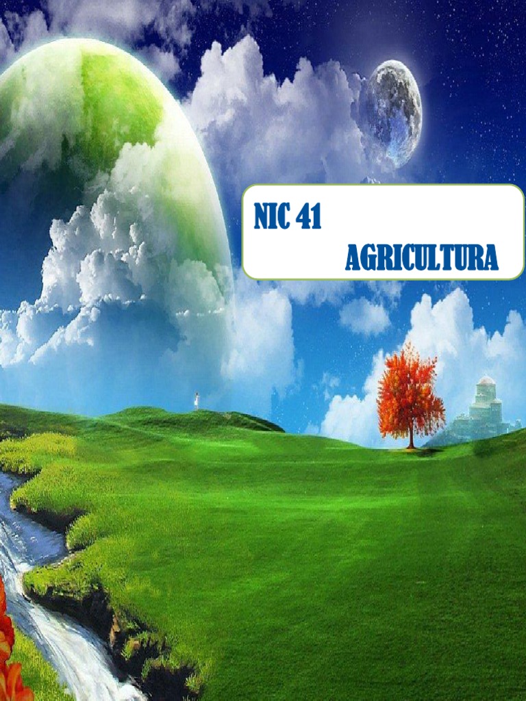 Nic 41 AGRICULTURA | normas internacionales de INFORMACION FINANCIERA ...