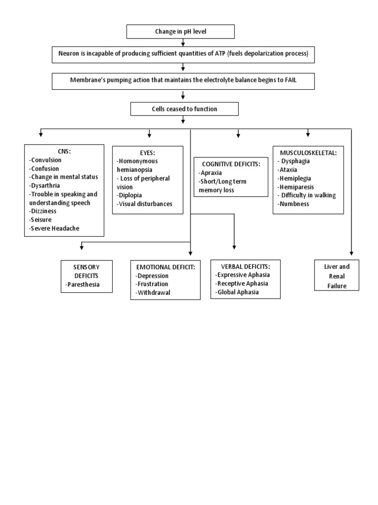Cva | PDF