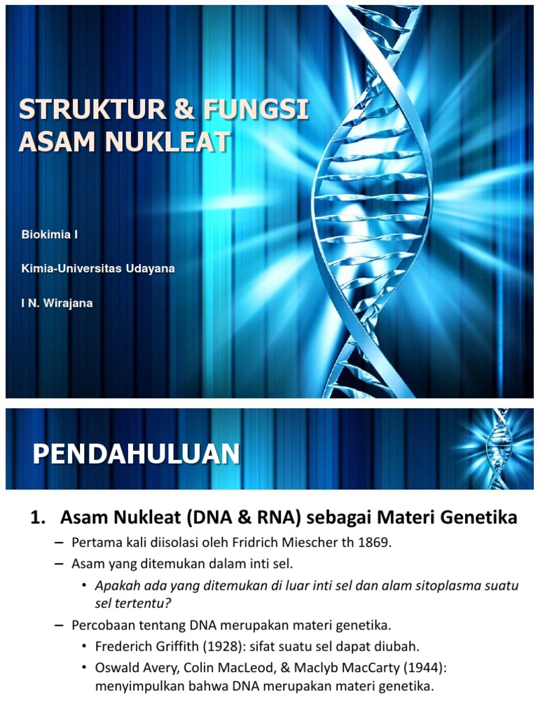 Struktur - Fungsi Dna | PDF | Nukleotida | Asam Nukleat Heliks Ganda