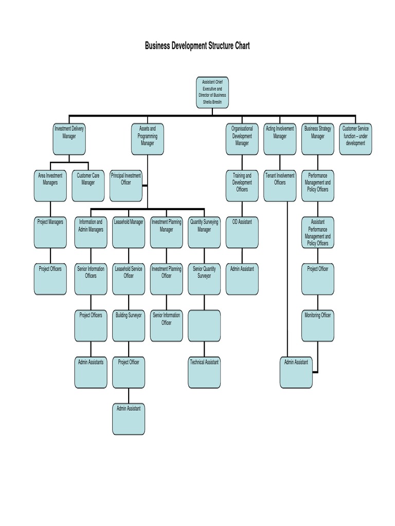 Business Development Organizational Chart | PDF | Economies | Business