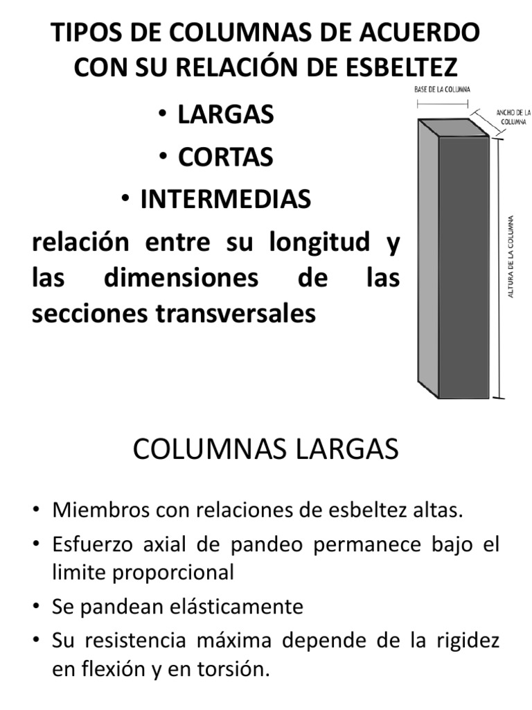 Tipos de Columnas de Acuerdo Con Su Relación | PDF | Pandeo ...