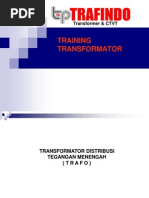DGPT Training Transformer