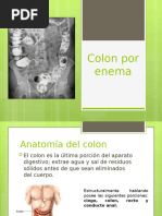 Estudio de Tránsito Intestinal con Bario | PDF | Radiología | Rayo X