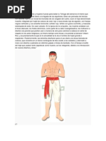 Características del Baile Toro Mambo | PDF