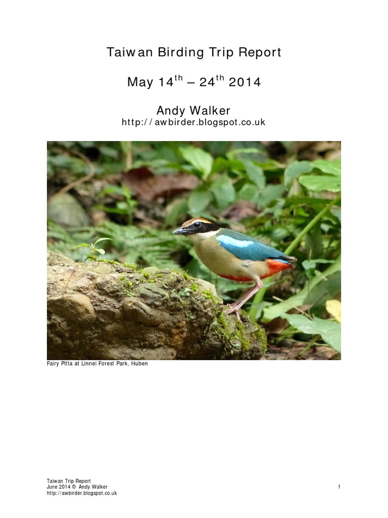 Taiwan Birding Trip Report | PDF | Bird Migration | Birds