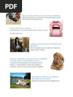 Antologia Refranes, Dichos y Pregones | PDF