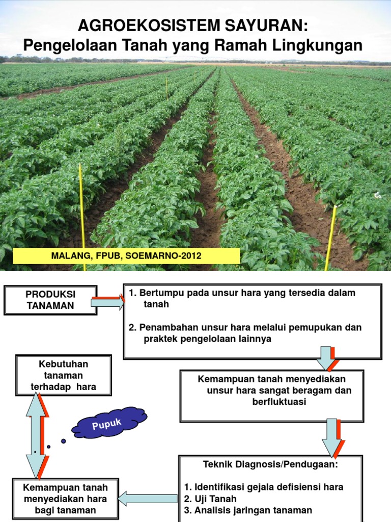 Pengelolaan Tanah untuk Kesuburan Optimal | PDF | Crop Rotation ...