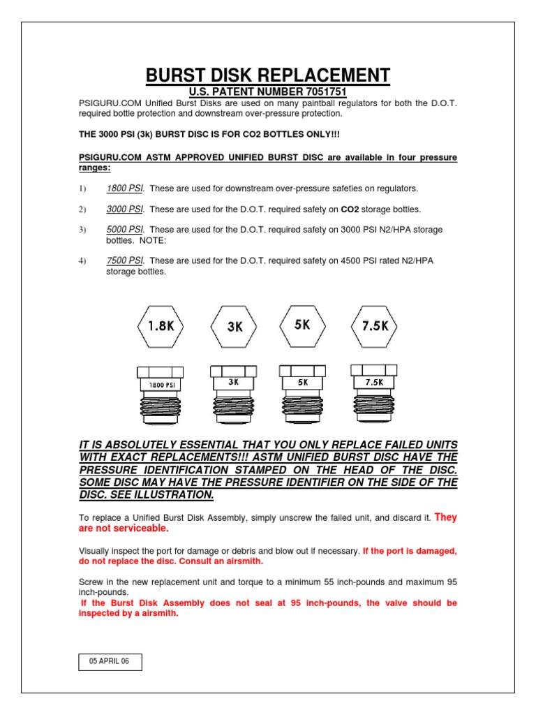 Serv Burst Disk Replacement | PDF