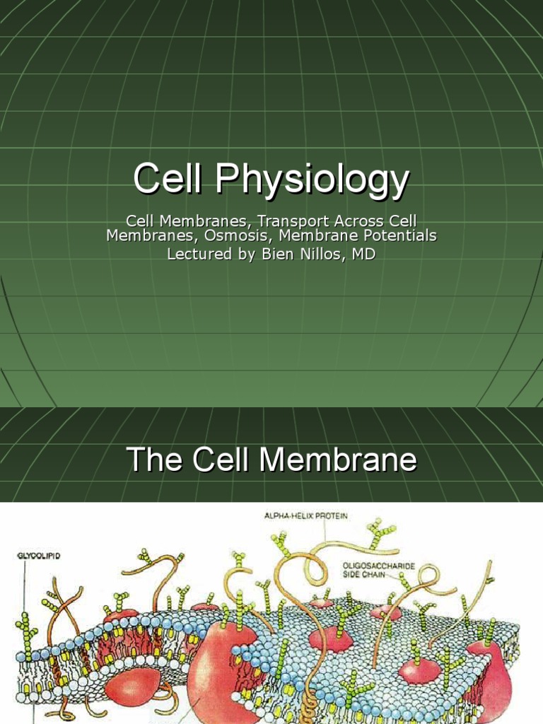 Cell Physiology | PDF | Osmosis | Action Potential