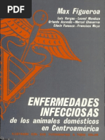 Proceso Infeccioso: Etapas y Tipos | PDF | Infección | Septicemia