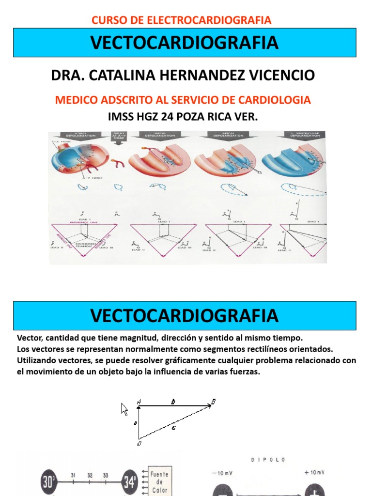 VECTOCARDIOGRAFIA | Electrocardiography | Internal Medicine