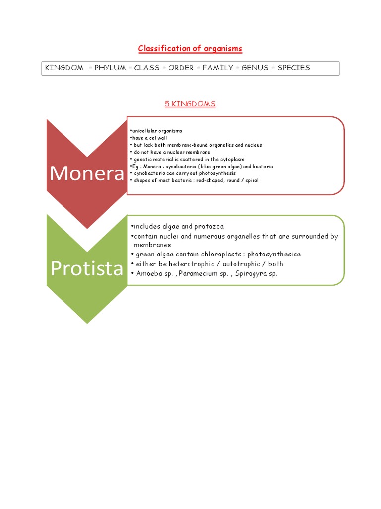 Classification of Organisms | Download Free PDF | Cell (Biology) | Bacteria