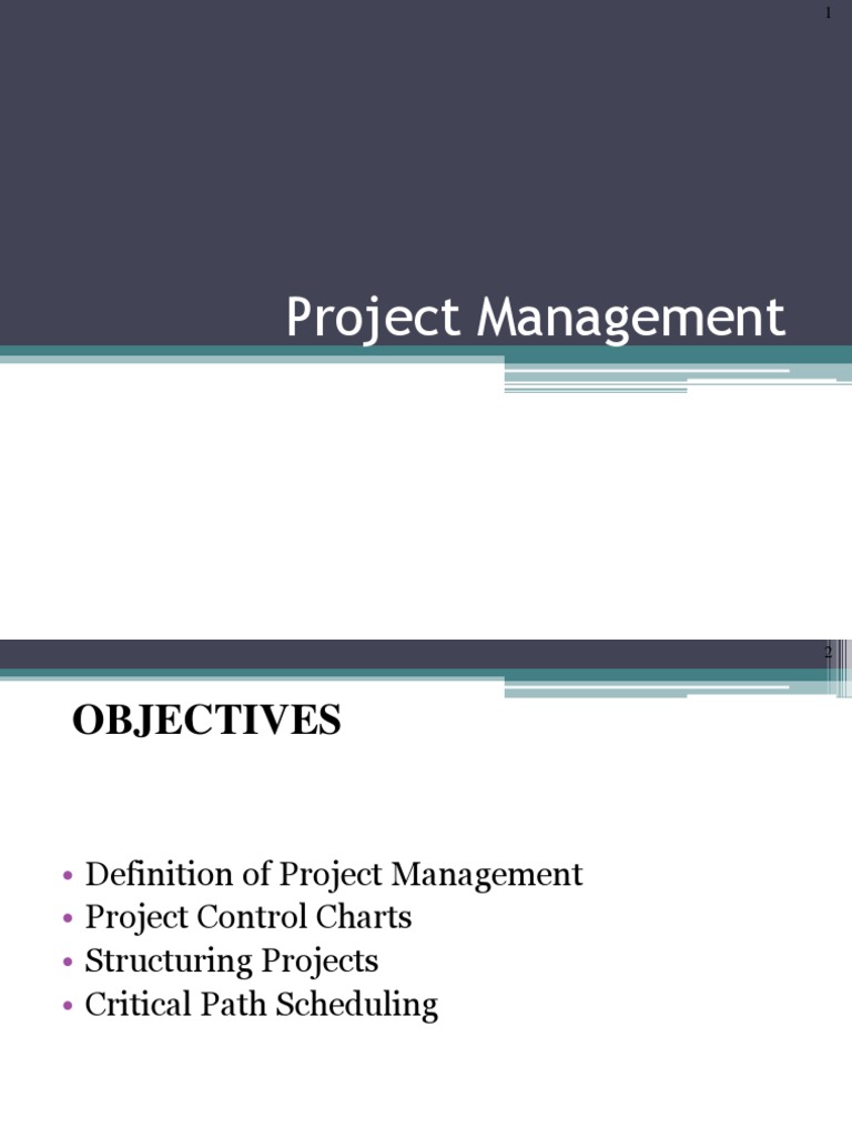 Project Management | PDF | Project Management | Systems Science