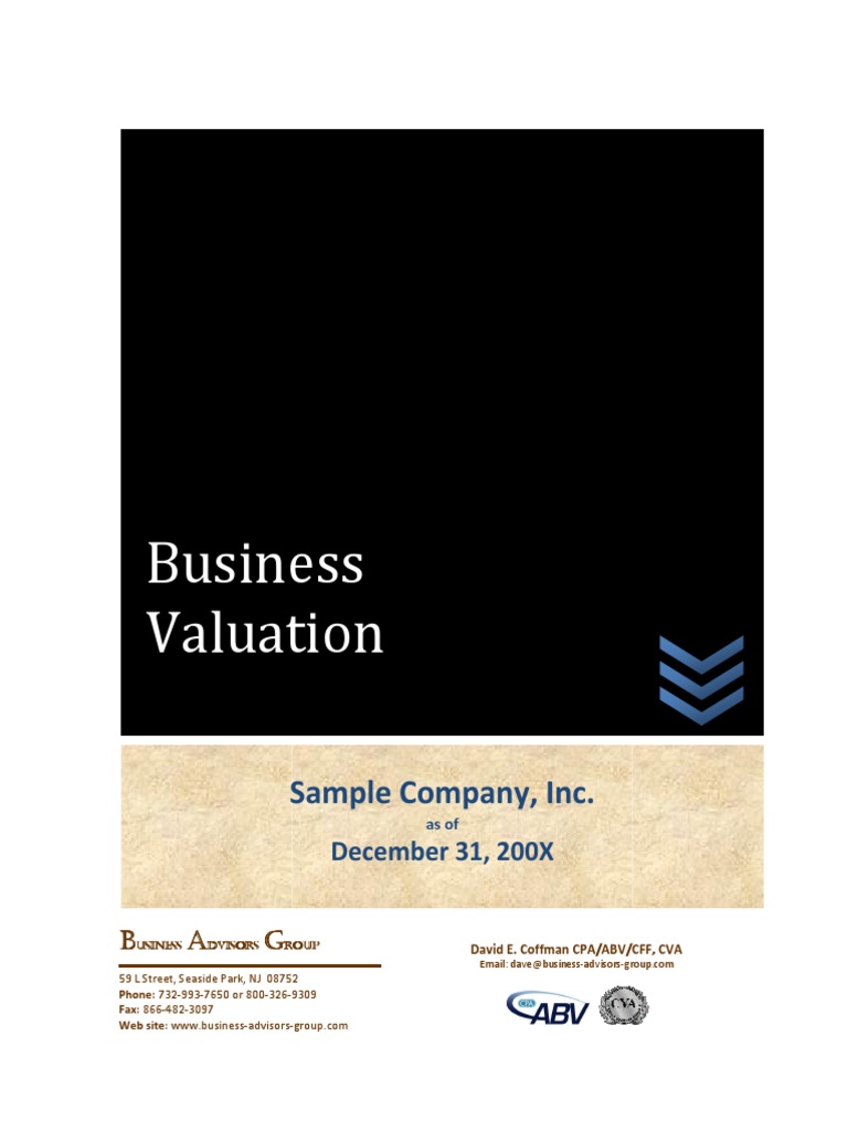 Business Valuation Report | PDF | Valuation (Finance) | Book Value