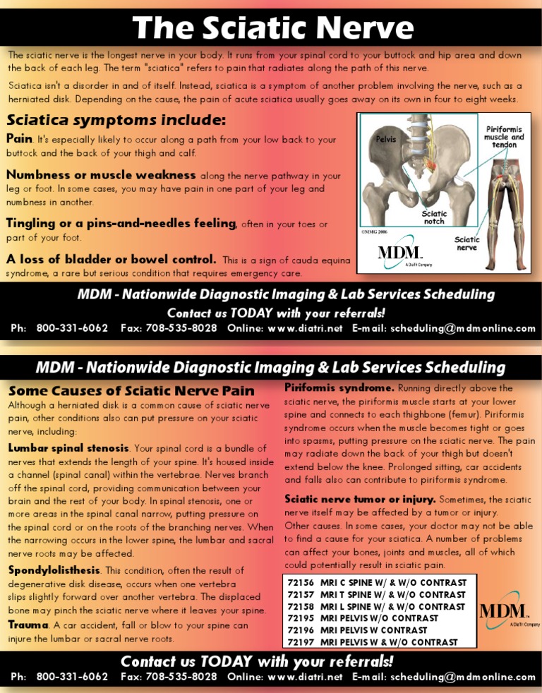 Sciatic Nerve | PDF | Spinal Cord | Neurological Disorders