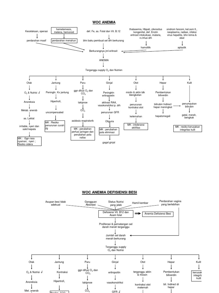 Woc Anemia | PDF