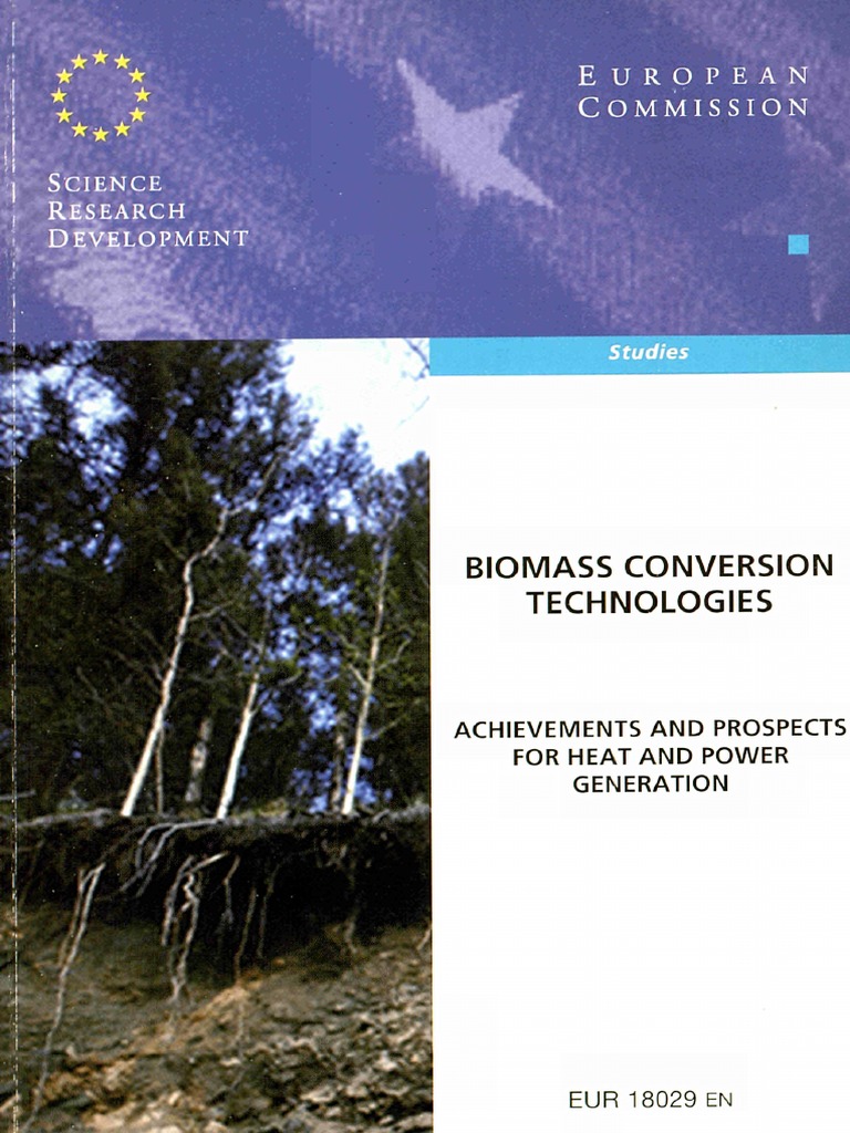 Biomass Conversion Technologies | PDF | Biomass | Gasification