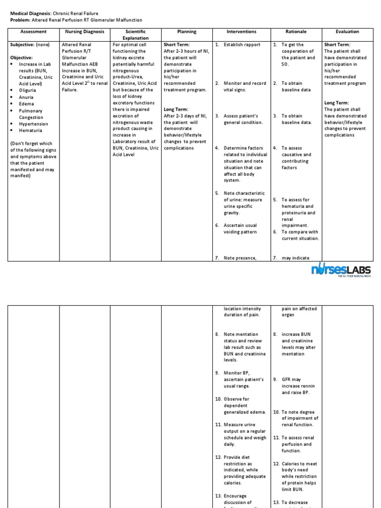 Nursing Care Plan for Renal Failure | PDF | Kidney | Renal Function