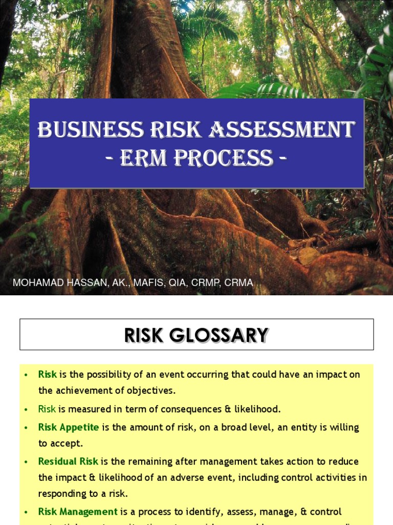 Business Risk Assessment - ERM Process | PDF | Risk Assessment | Risk