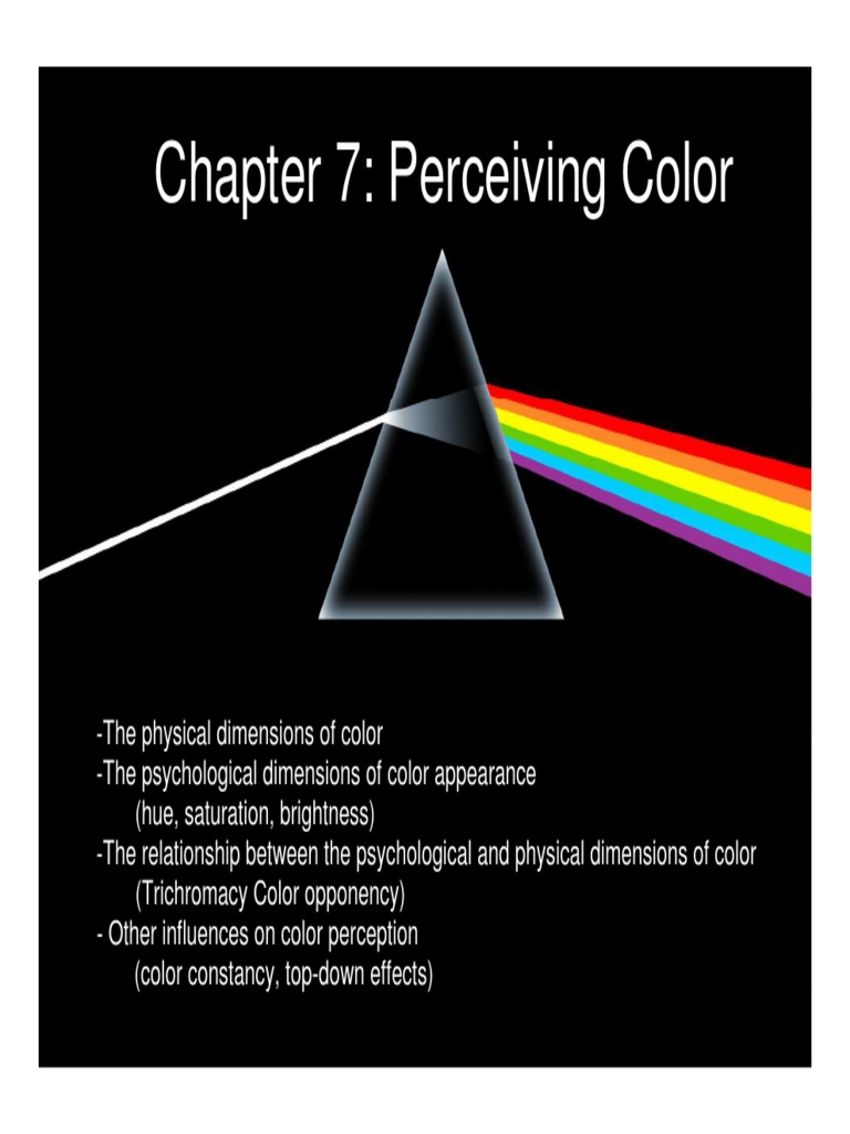 Chapter7 Color | PDF | Visual Cortex | Color