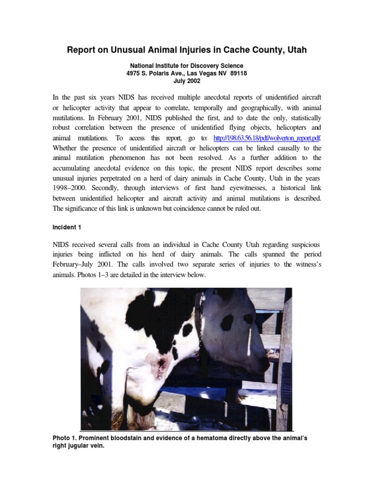 Investigation of an Animal Mutilation Injuries in Cache County, Utah