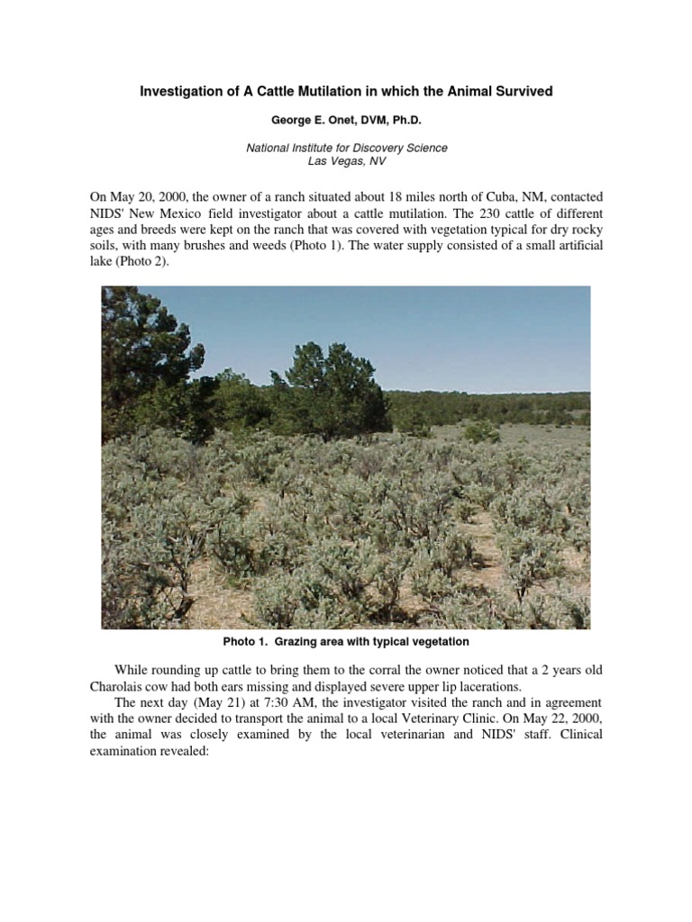 Newmexico Investigation of A Cattle Mutilation in Which The Animal ...