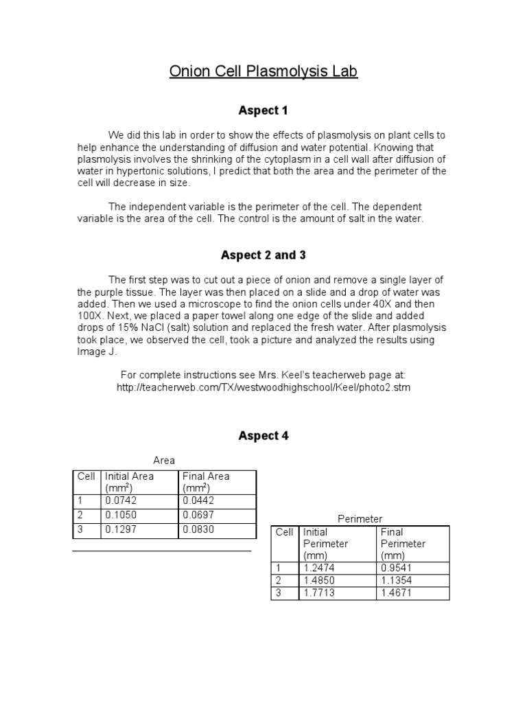 Onion Cell Plasmolysis Lab Version 1 | PDF | Cell Biology | Biology