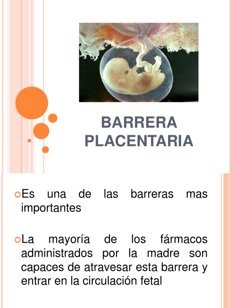 Barrera Placentaria | PDF | Placenta | Feto