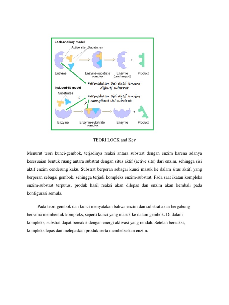 Teori Lock and Key | PDF
