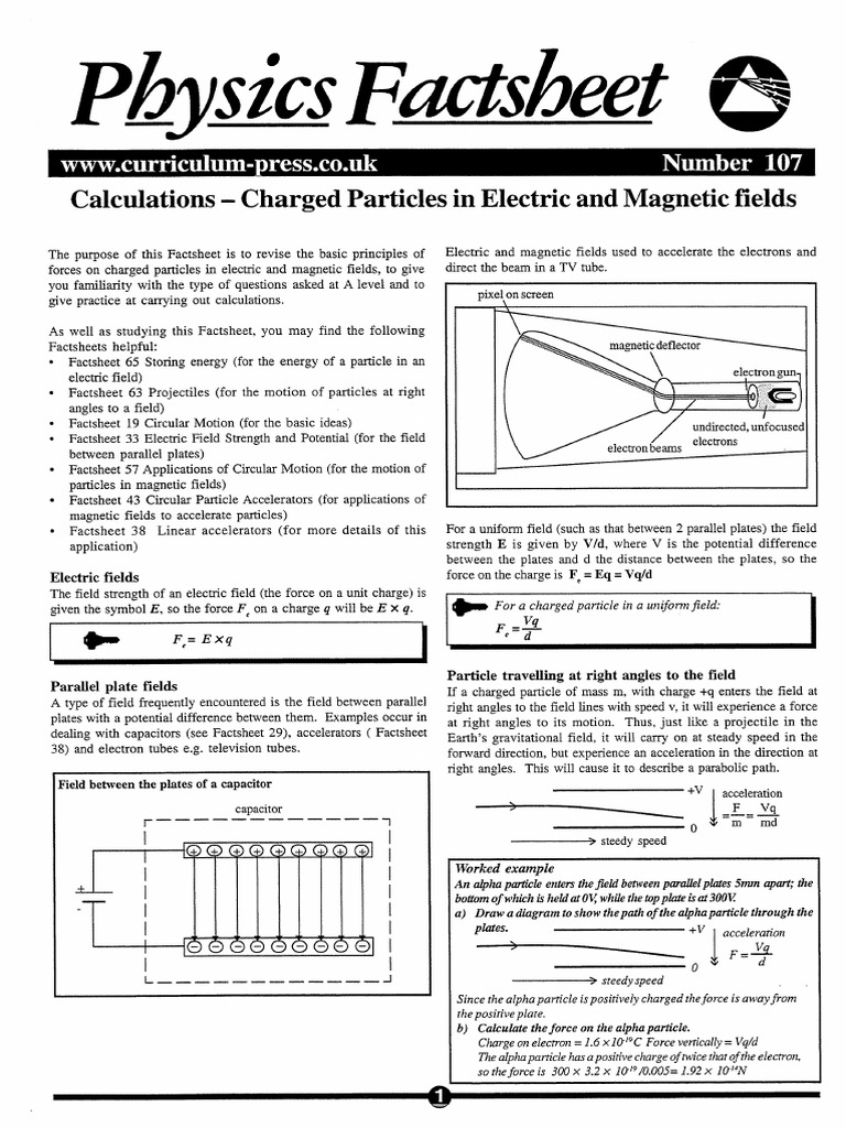 Electric and Magnetic Fields (Physics Factsheet) | Capacitor | Electric Charge