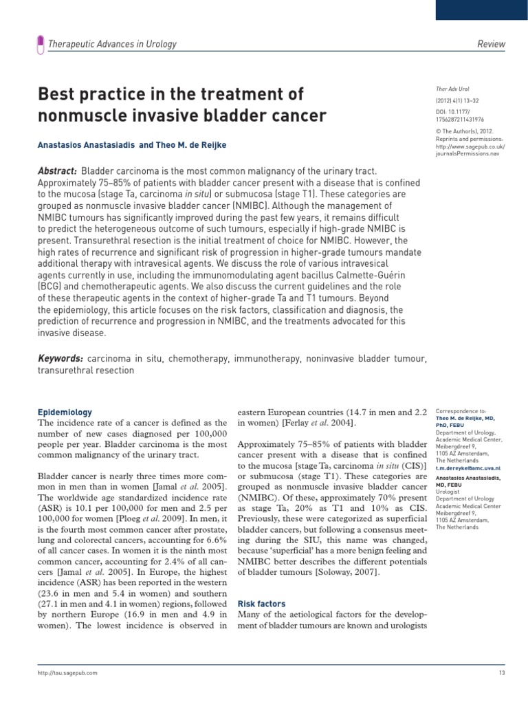 Best Practice in The Treatment of Nonmuscle Invasive Bladder Cancer ...