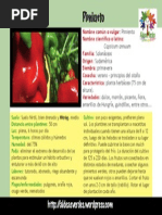 Kamab 26 Ficha Técnica | PDF | Fertilizante | Agua