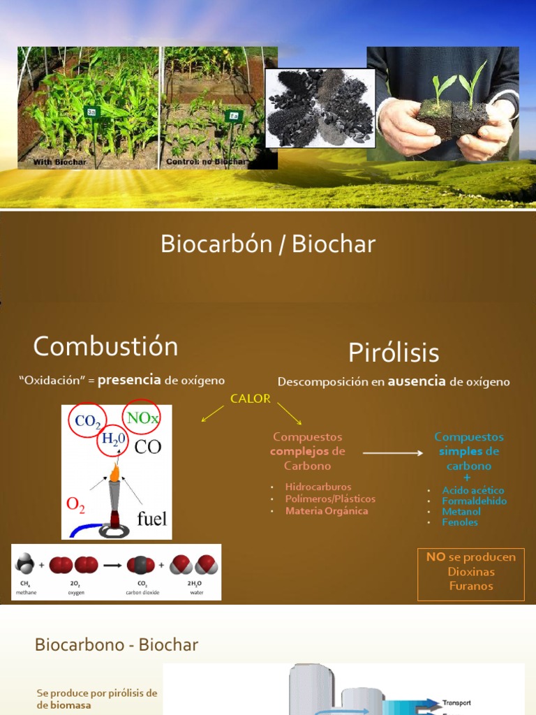 Producción y Beneficios del Biocarbón | PDF | Tecnología